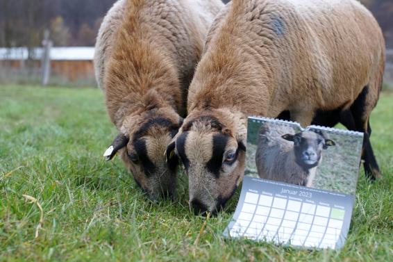 Kalender 2023 - Tierhafen Bad Karlshafen